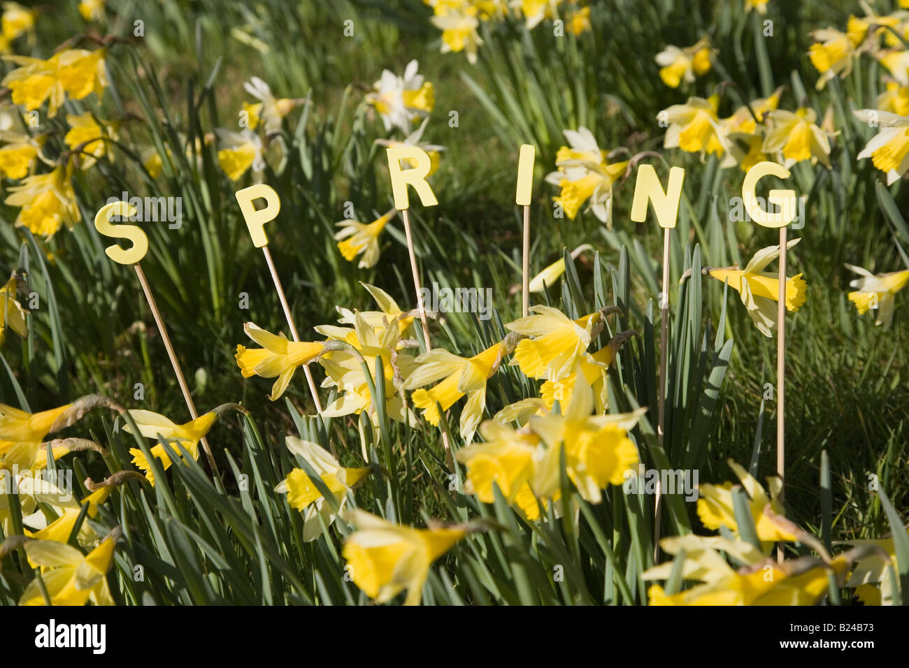 Spring word hi-res stock photography and images - Alamy