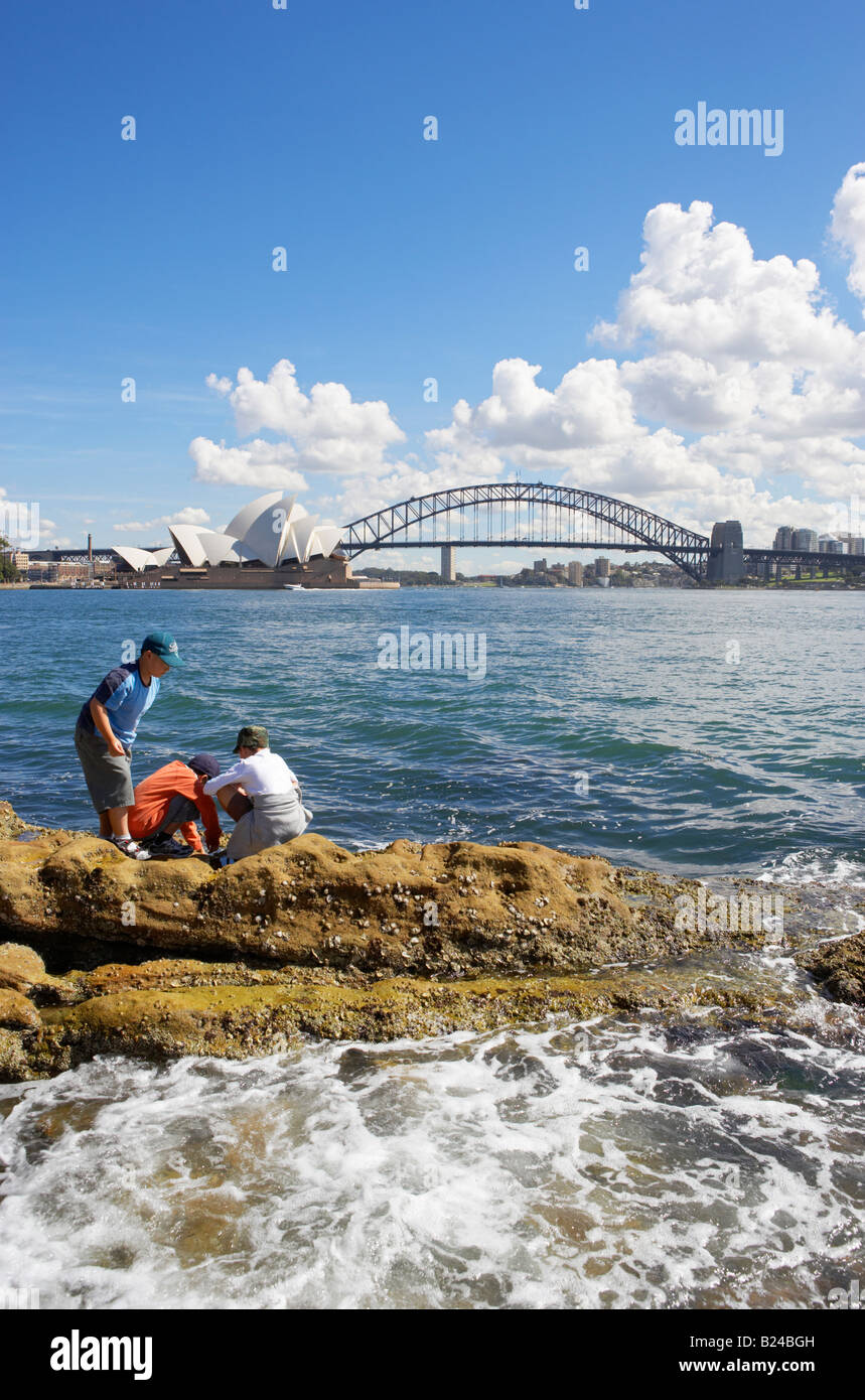 Three boy exploring rock pool in front of Sydney Harbour Opera House ...