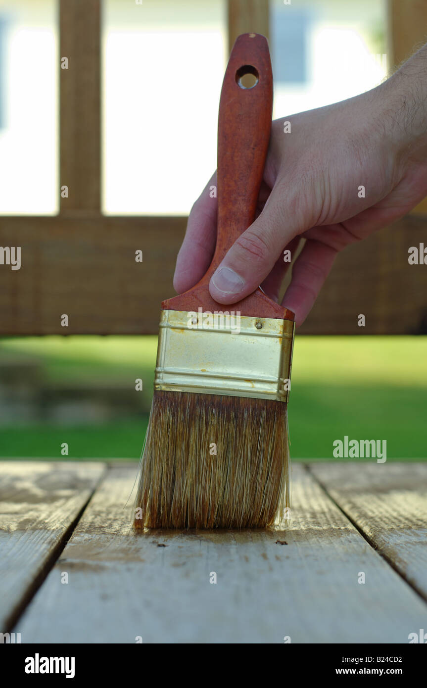 Man s hand holding a brush staining natural cedar wooden deck floor ...