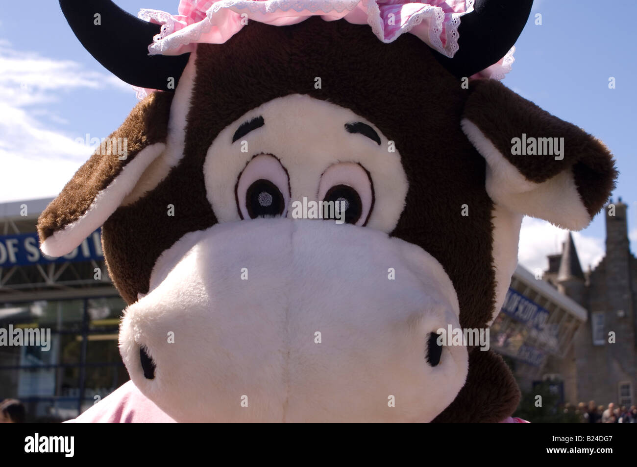 Dressed up cow hi-res stock photography and images - Alamy