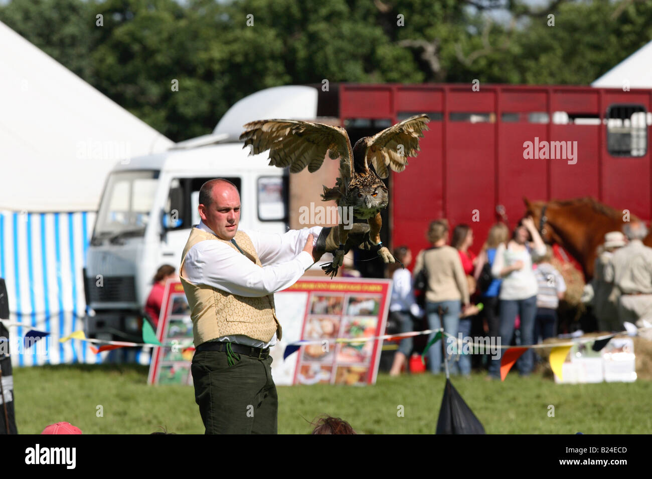 Eagle Owl & Handler Stock Photo - Alamy