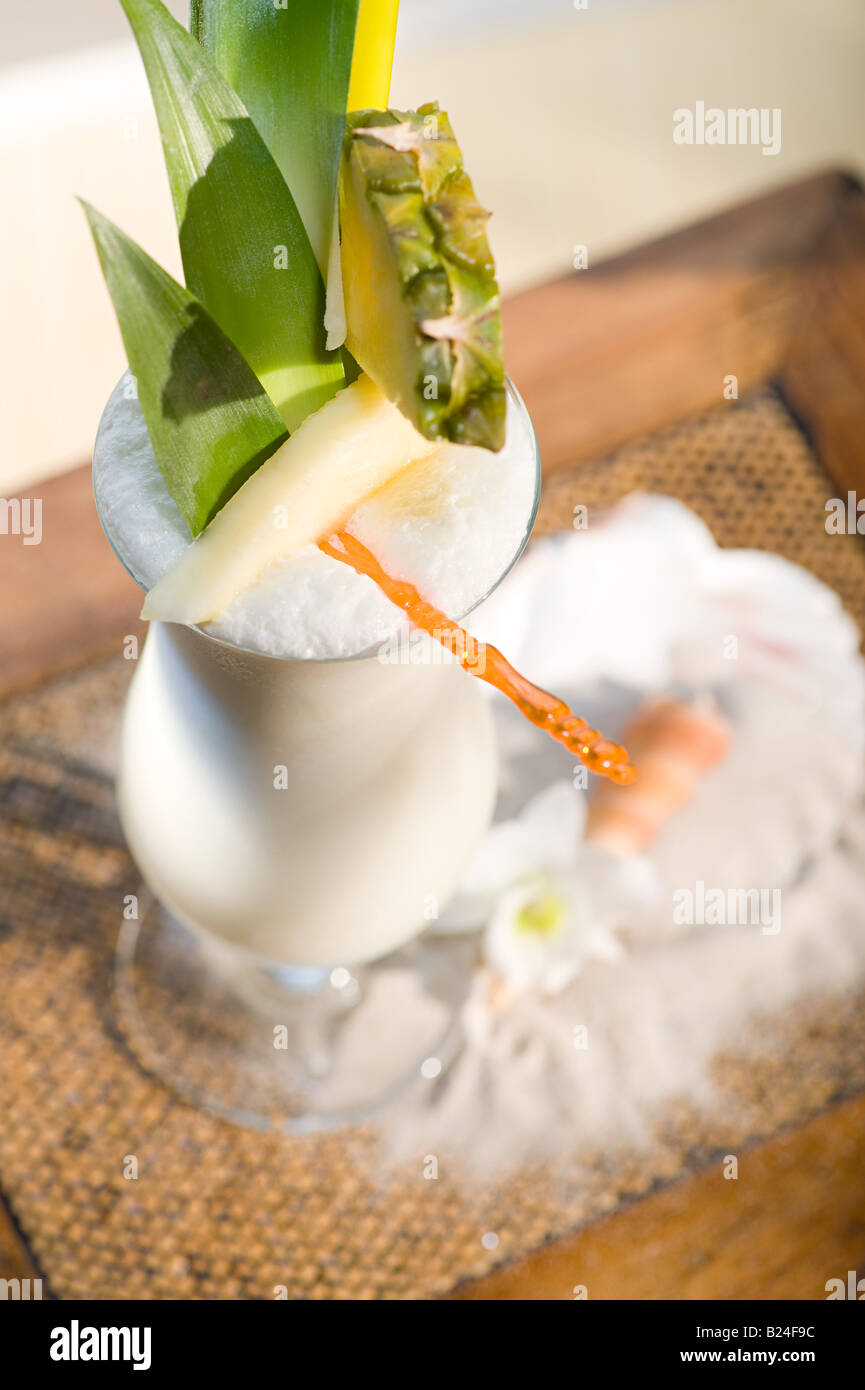 Pina plant hi-res stock photography and images - Alamy