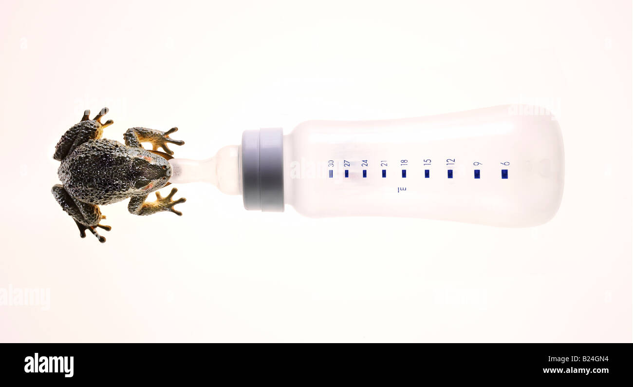 idea, frog, bottles, fantasy Stock Photo - Alamy