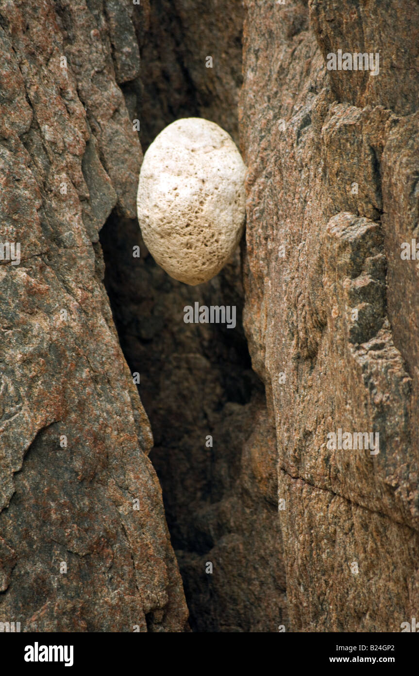 Egg raft hi-res stock photography and images - Alamy