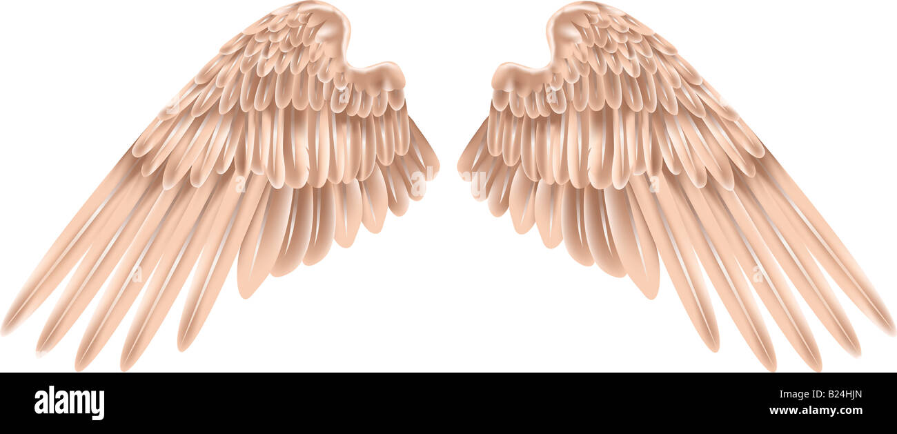 A pair of wings, shading by gradient mesh Stock Photo - Alamy