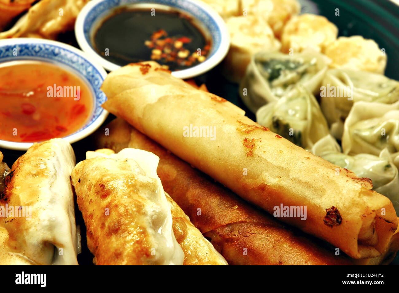 Plate of dim sum egg rolls shumai and pot stickers with dipping sauce ...