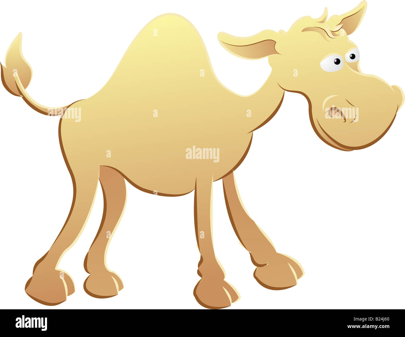 camel illustration. An illustration of a cute camel character Stock ...