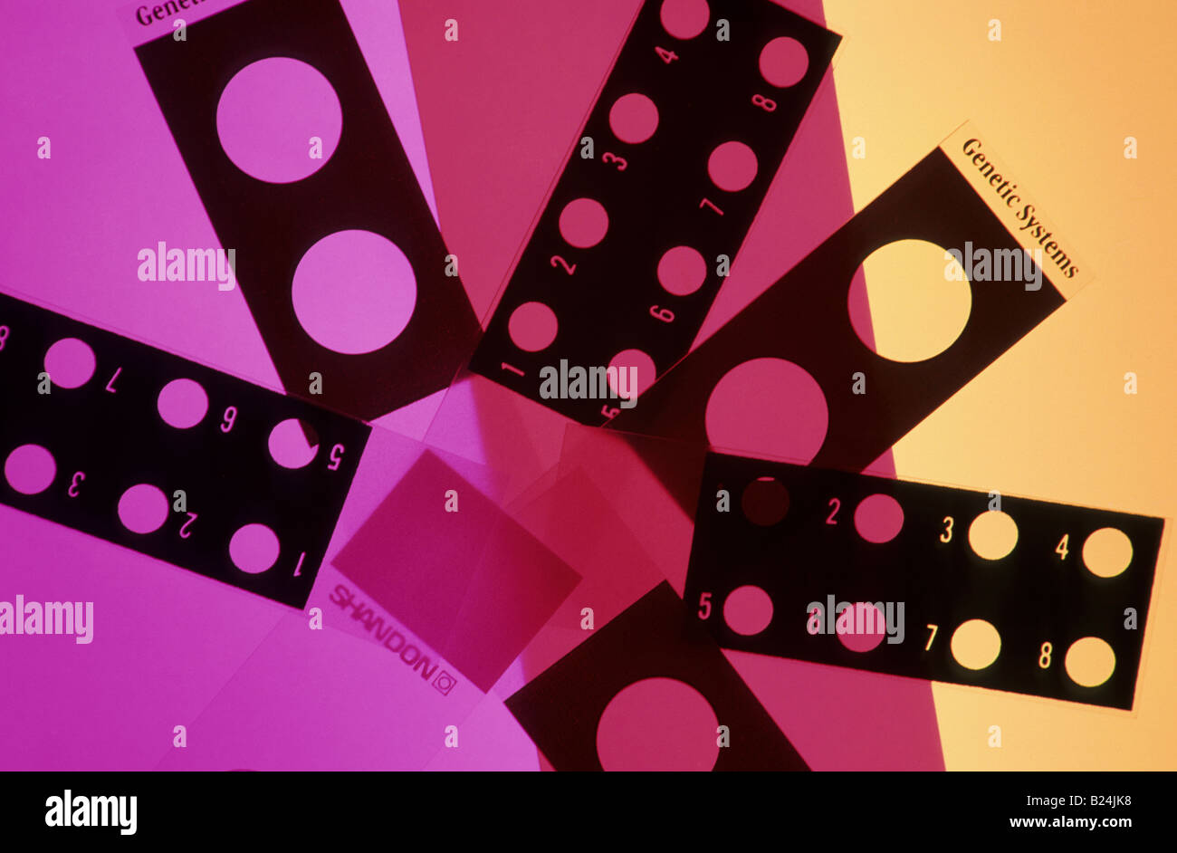 MICROSCOPE SLIDES ARRANGED ON COLORED BACKGROUND Stock Photo - Alamy