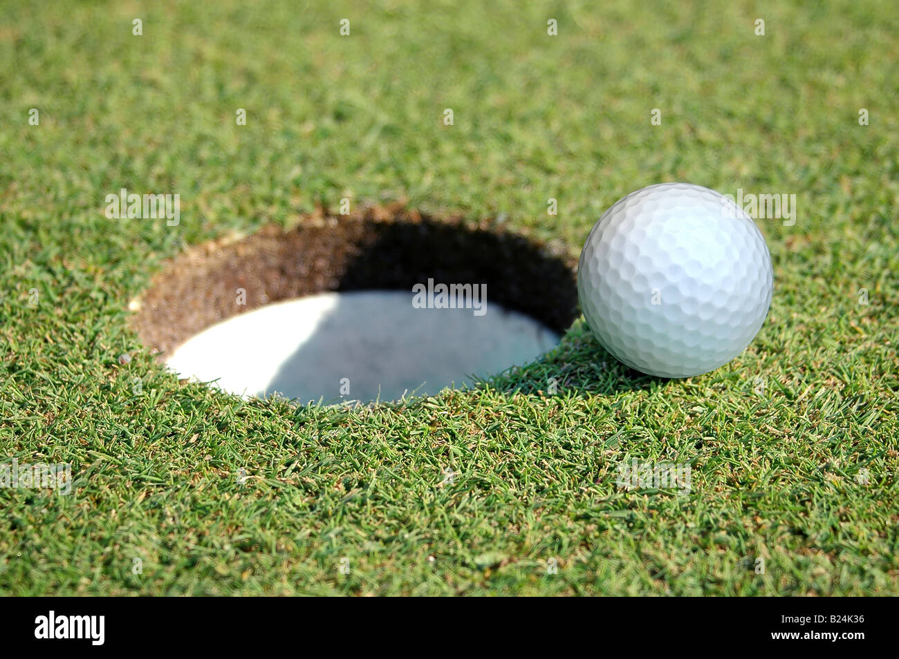 Close up of Golf Ball Going in the Hole Stock Photo - Alamy