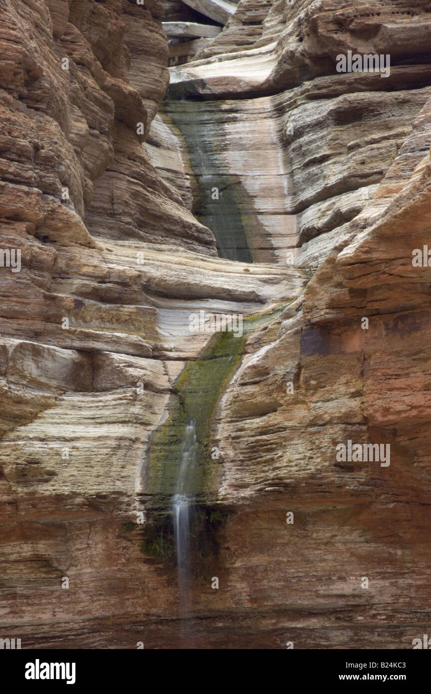 A flowing slot canyon along the Colorado River Grand Canyon National ...