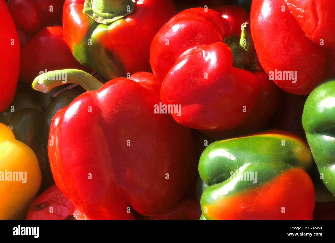 Nightshade vegetable hi-res stock photography and images - Alamy