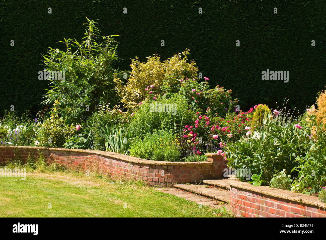 Mixed raised herbaceous and shrub border in July Stock Photo - Alamy