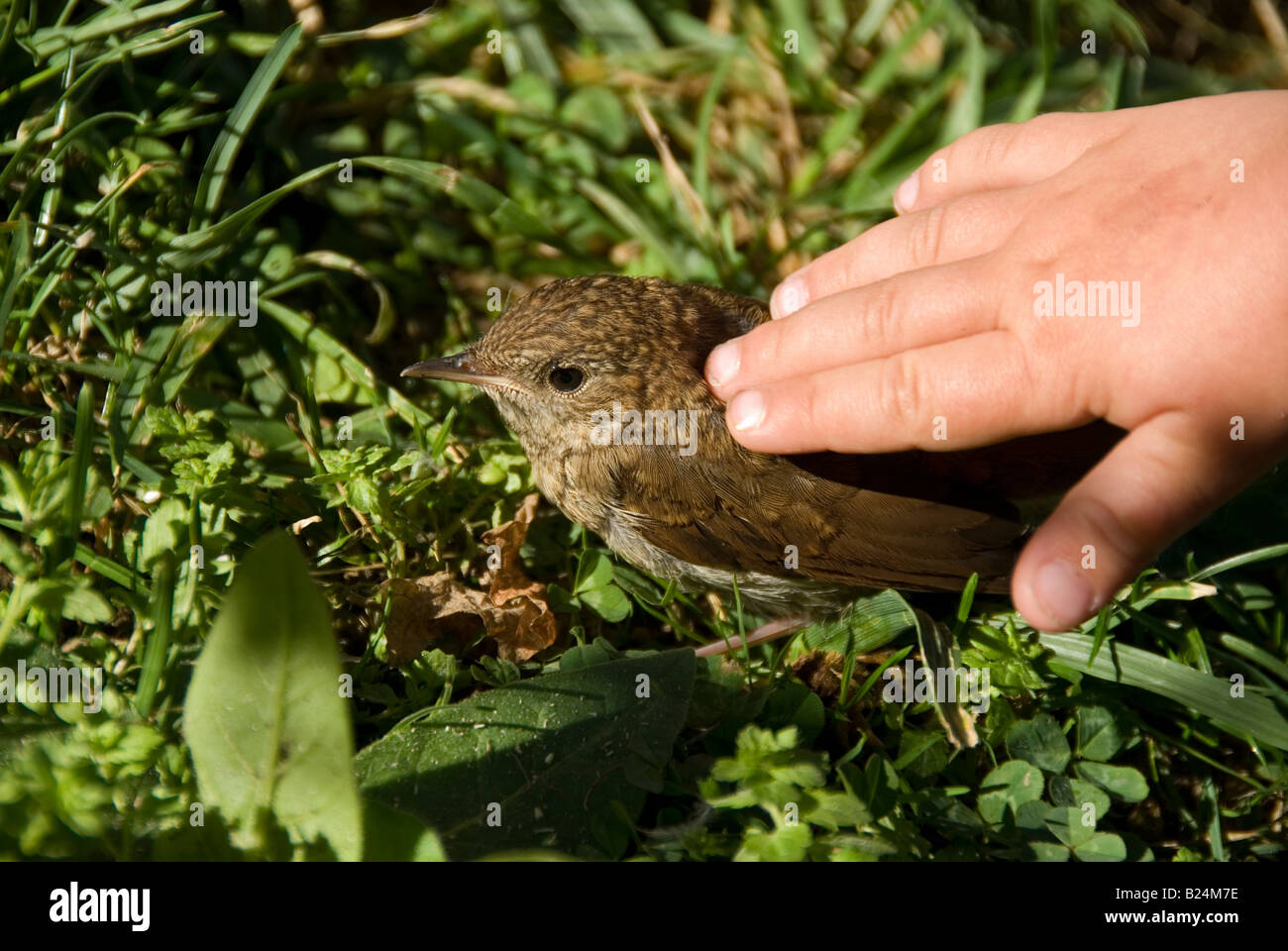 Injured child photo hi-res stock photography and images - Alamy
