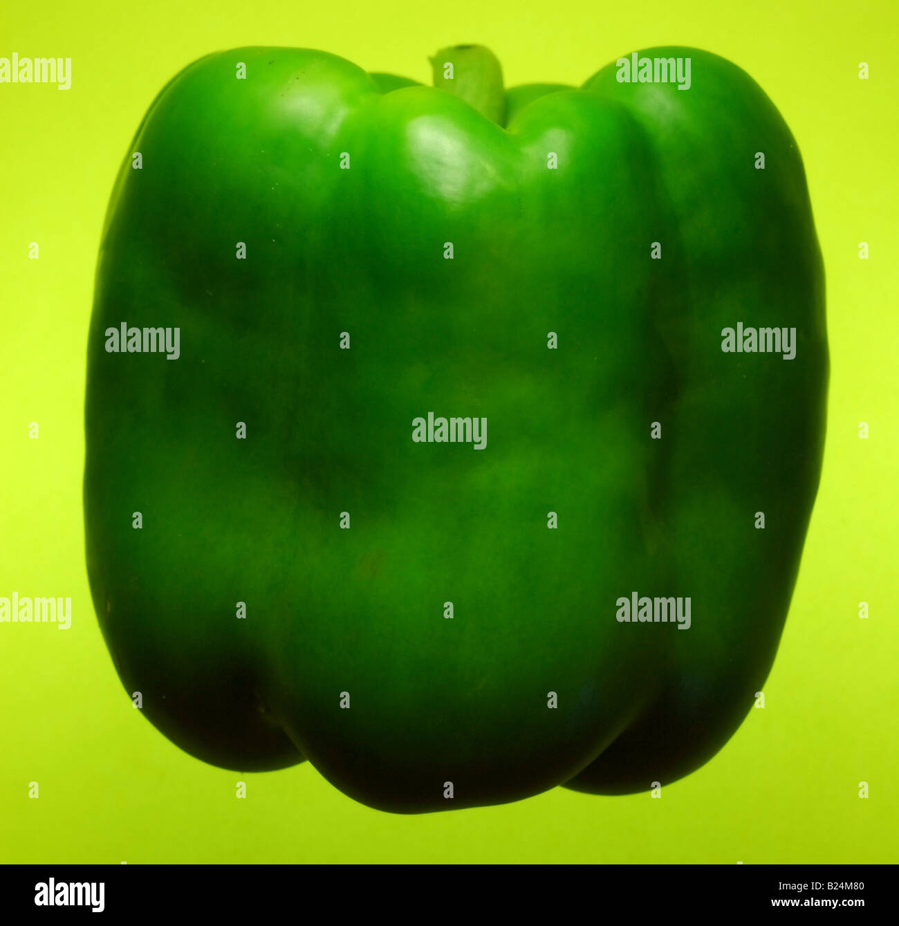 Sweet green bell pepper isolated on a backlit bright green background ...