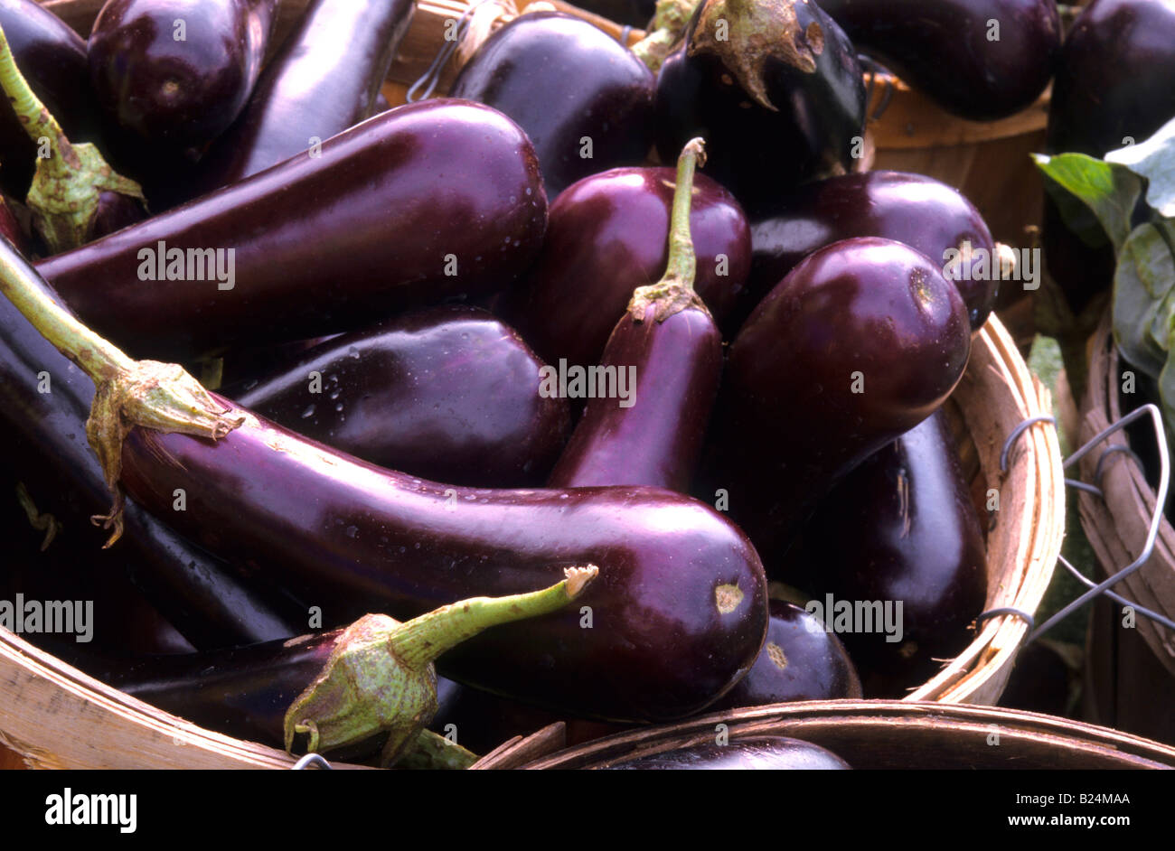 EGGPLANTS AT FARMER S MARKET EDIBLE FRUIT Stock Photo - Alamy