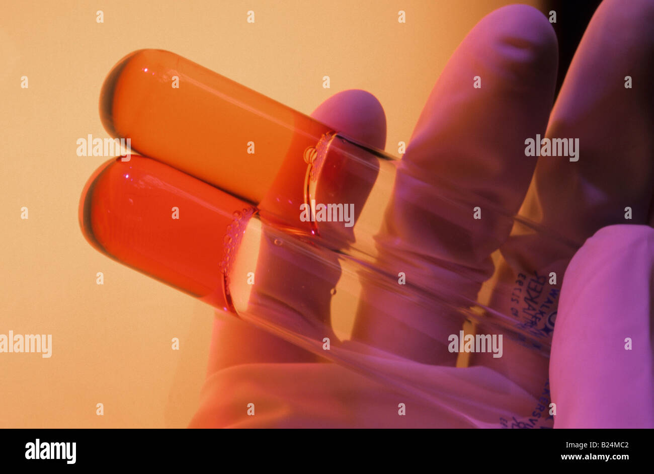 CLOSE UP GLOVED HAND HOLDING TEST TUBES Stock Photo - Alamy
