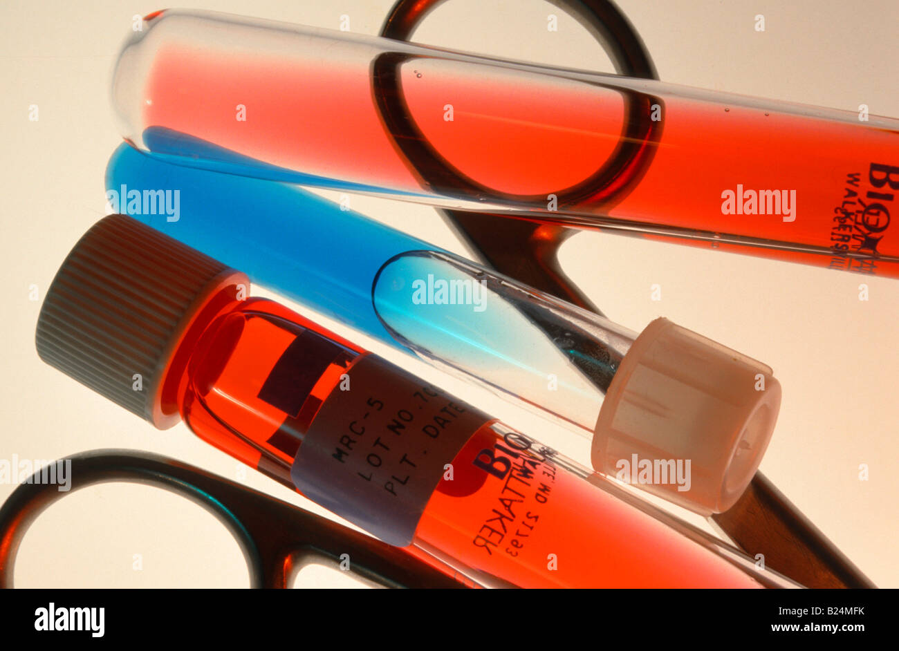 Life Lab Test Finder at Annie Ettinger blog