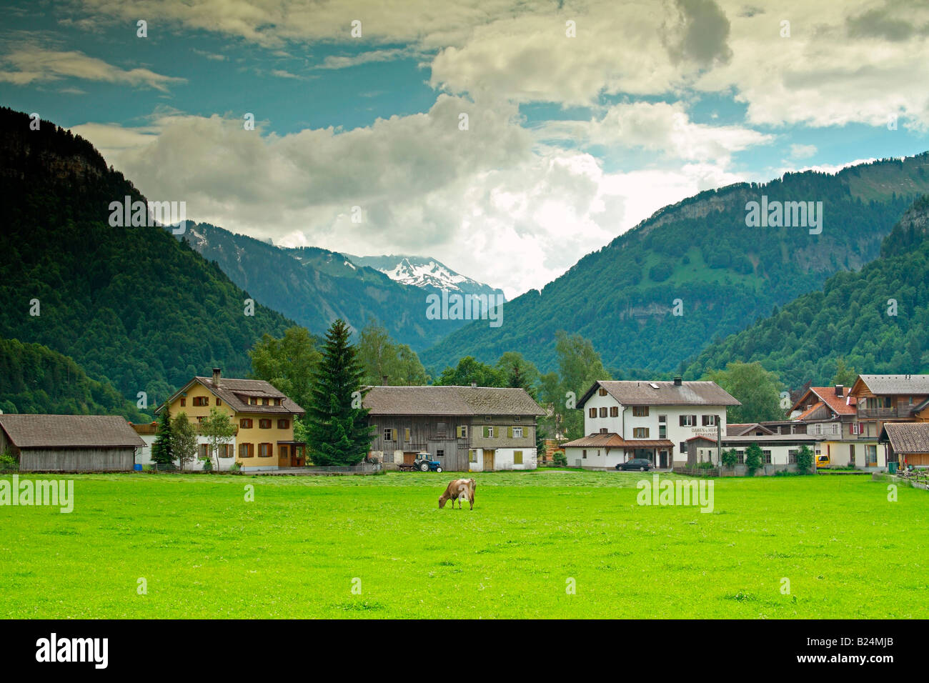 Bregenzerwald cheese hi-res stock photography and images - Alamy