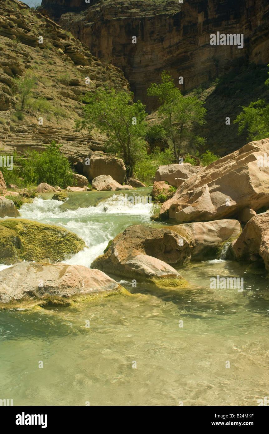 Havasupai indian reservation hi-res stock photography and images - Alamy