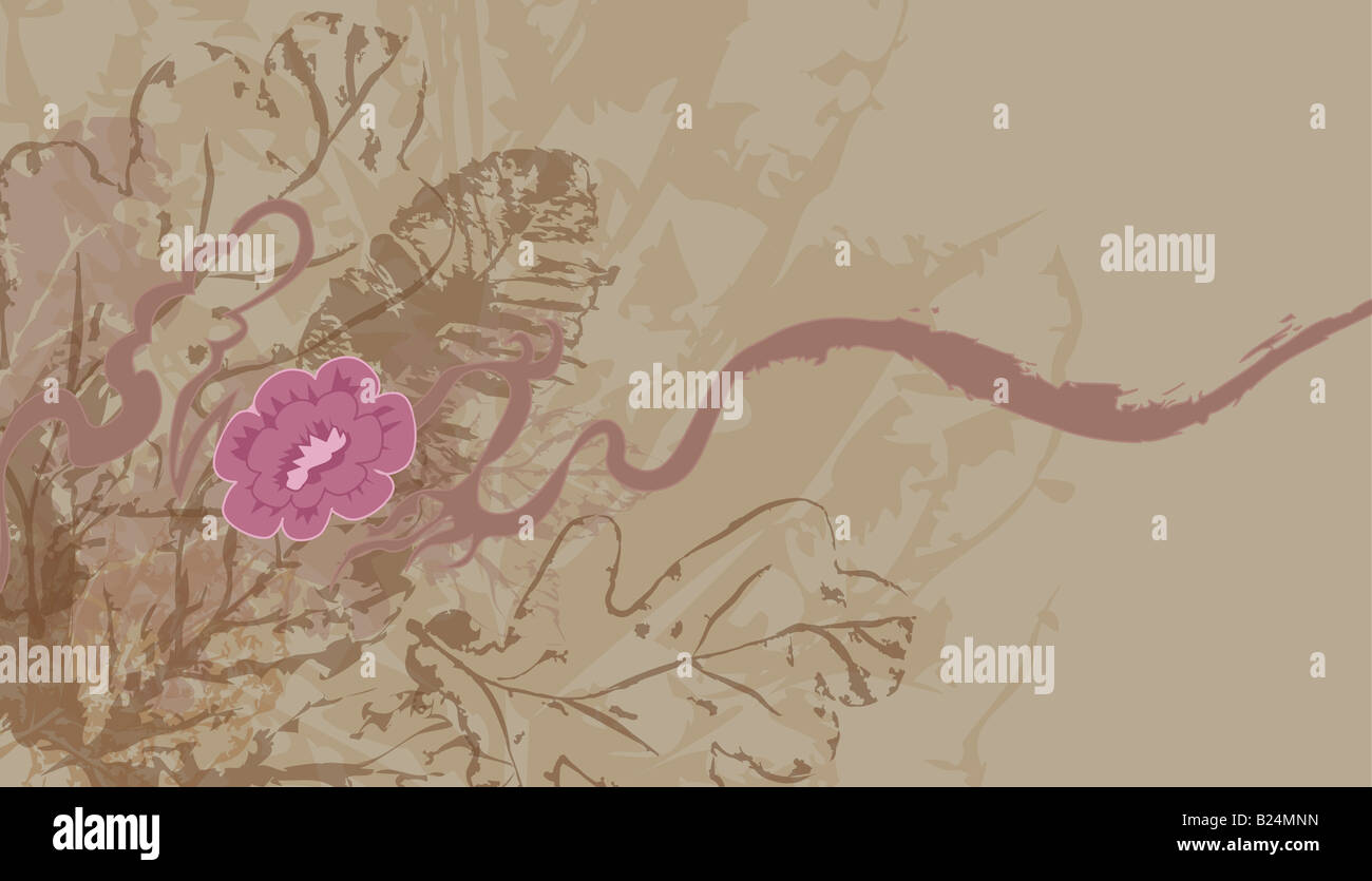 Fine floral border hi-res stock photography and images - Alamy