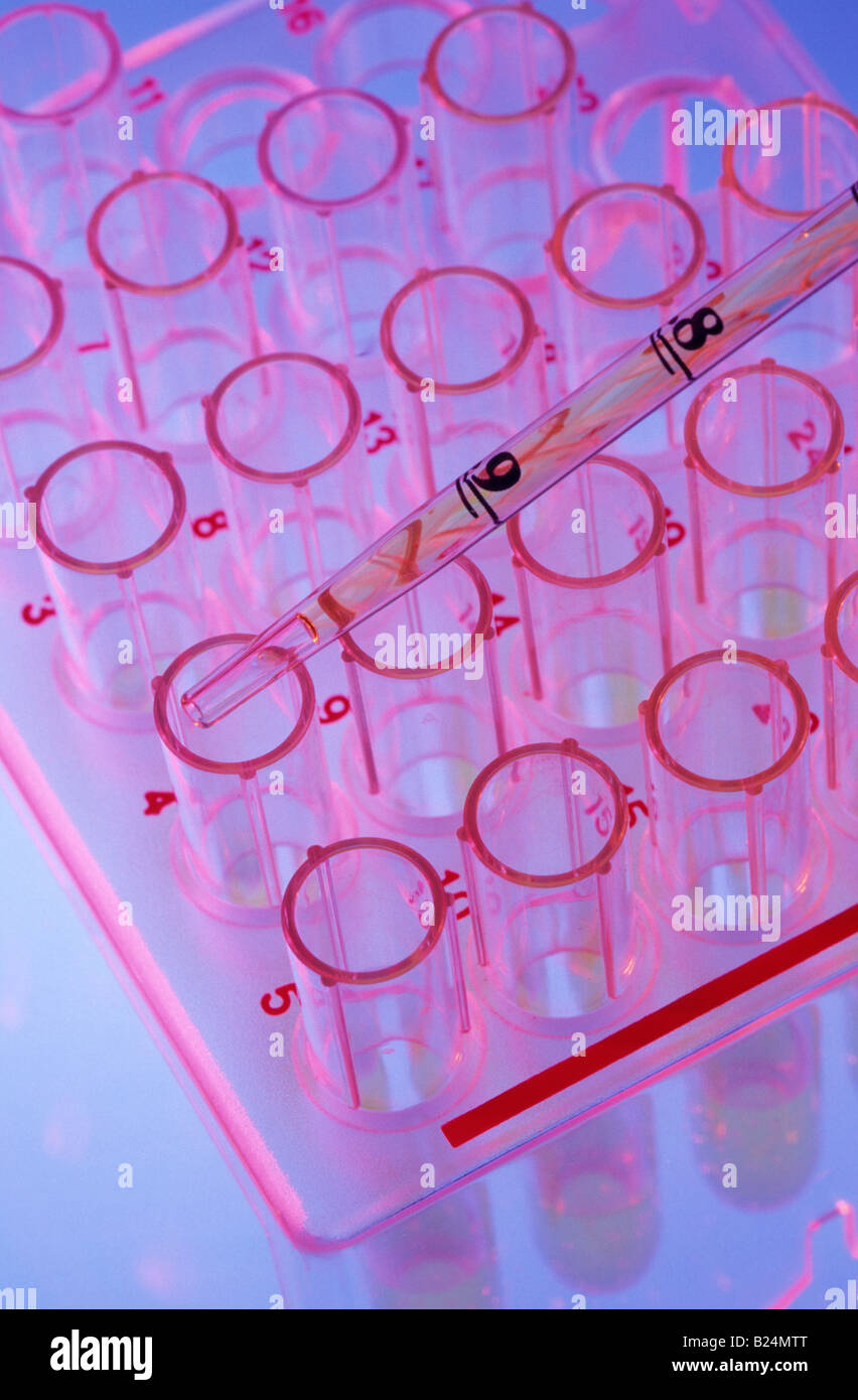 CLOSE UP TEST TUBES IN RACK WITH PIPETTE Stock Photo - Alamy