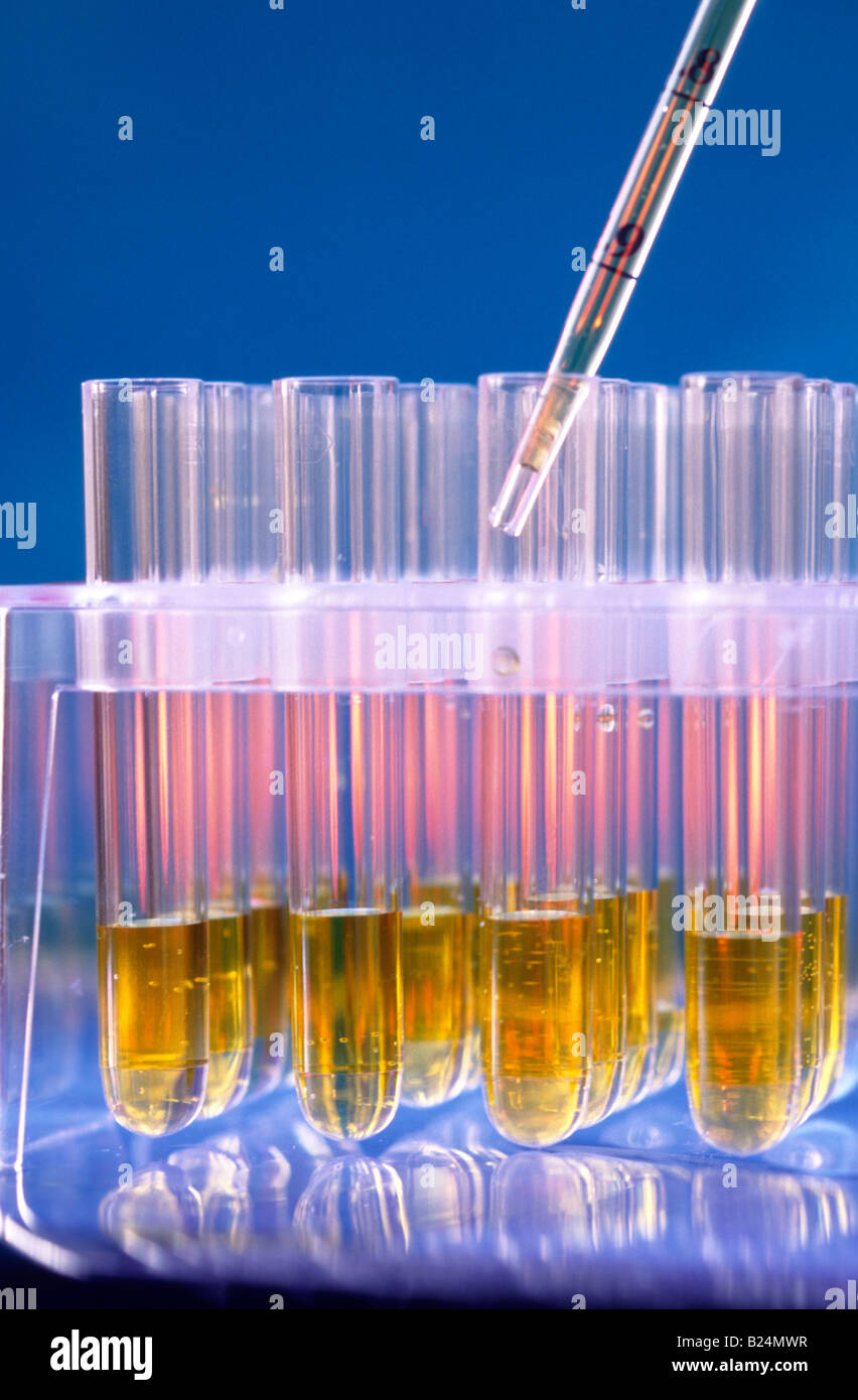 CLOSE UP TEST TUBES IN RACK WITH PIPETTE Stock Photo - Alamy