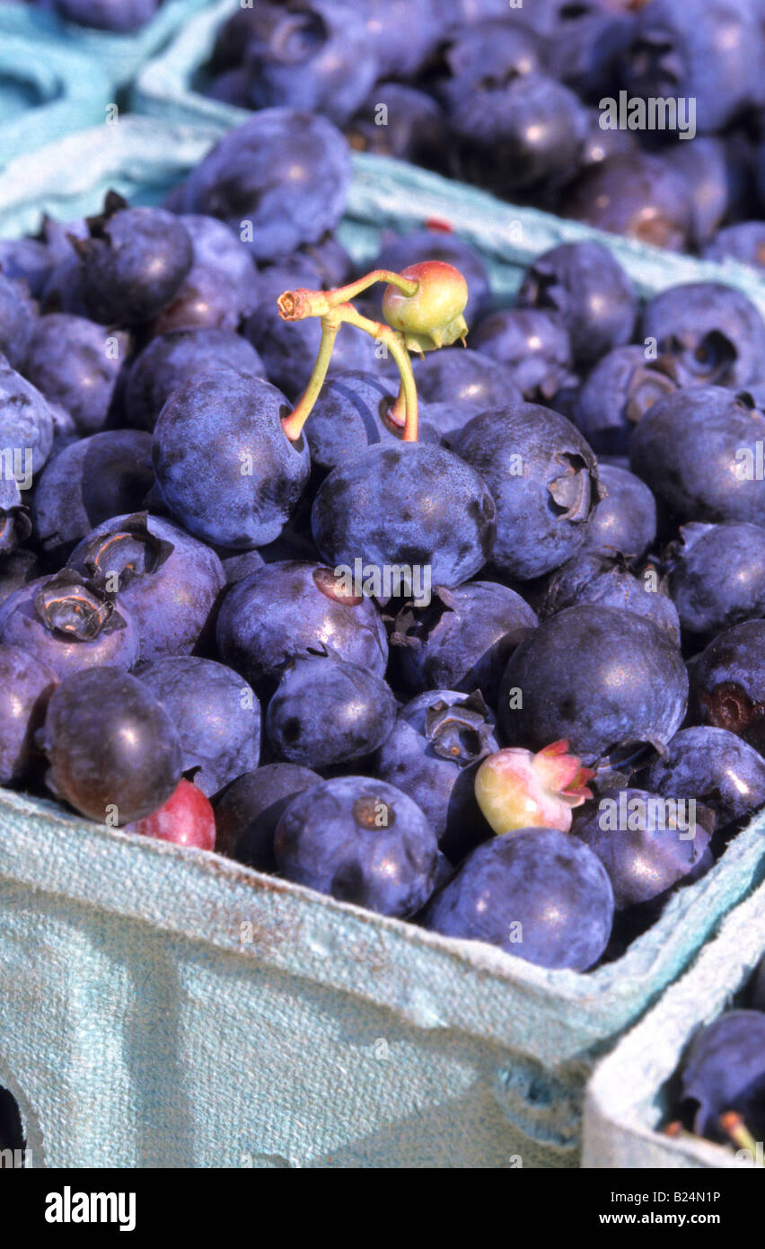 Carton blueberries hi-res stock photography and images - Alamy