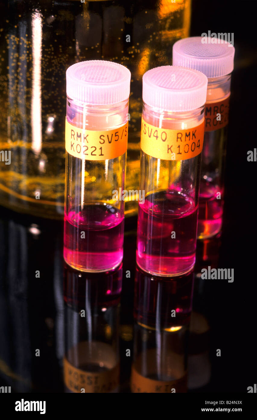 REAGENTS IN TEST TUBES AND LAB FLASK Stock Photo - Alamy