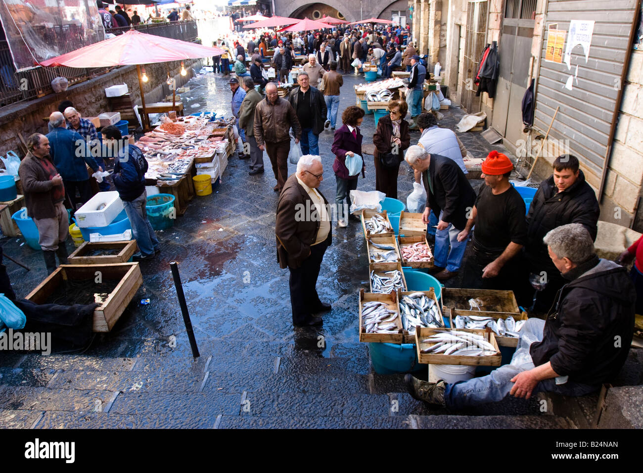 Fishmonders haggle at La Pescheria di Sant Agata fish market in Catania ...