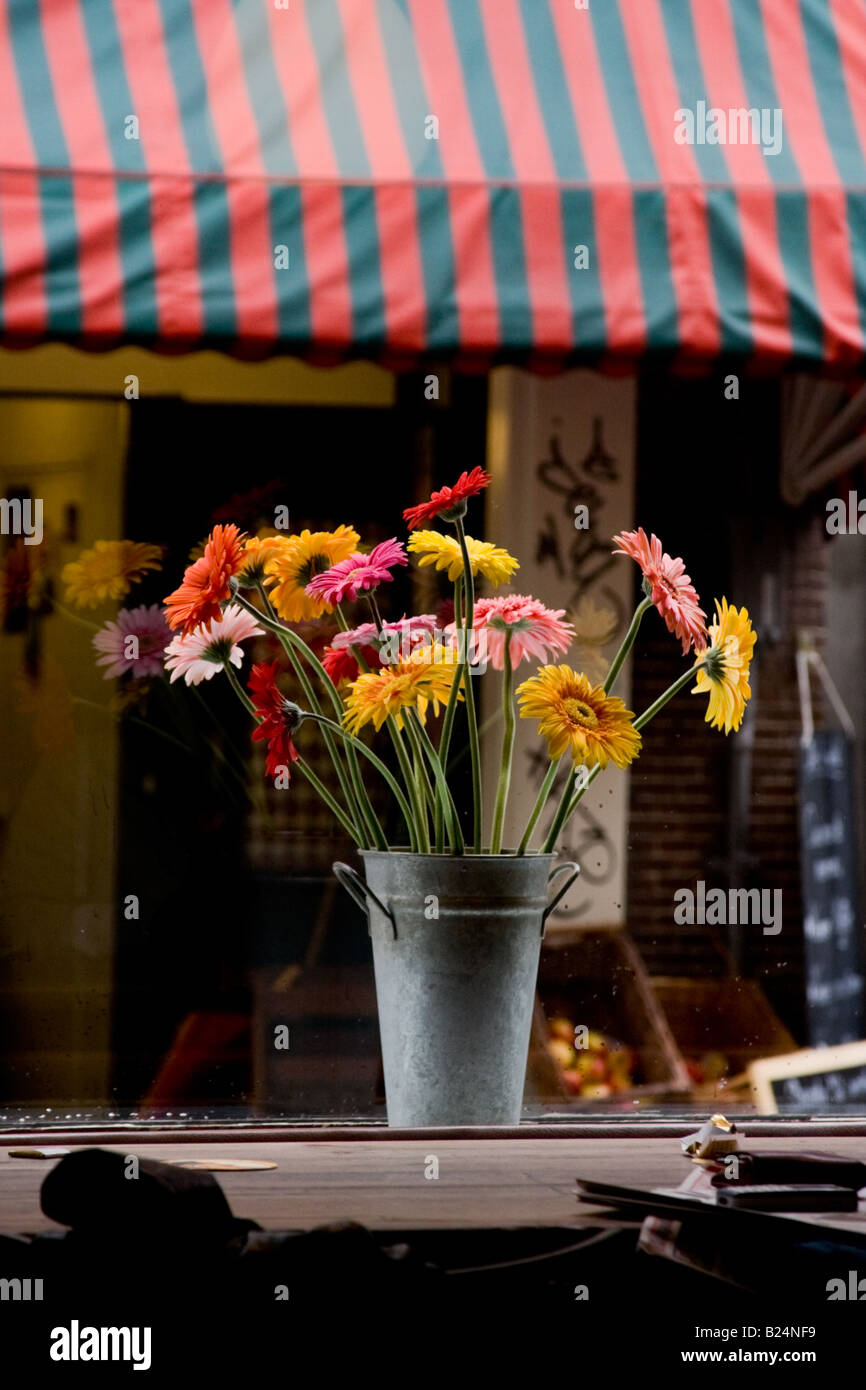 Bouquet of gerberas in a bucket in a cafe window Amsterdam Holland ...