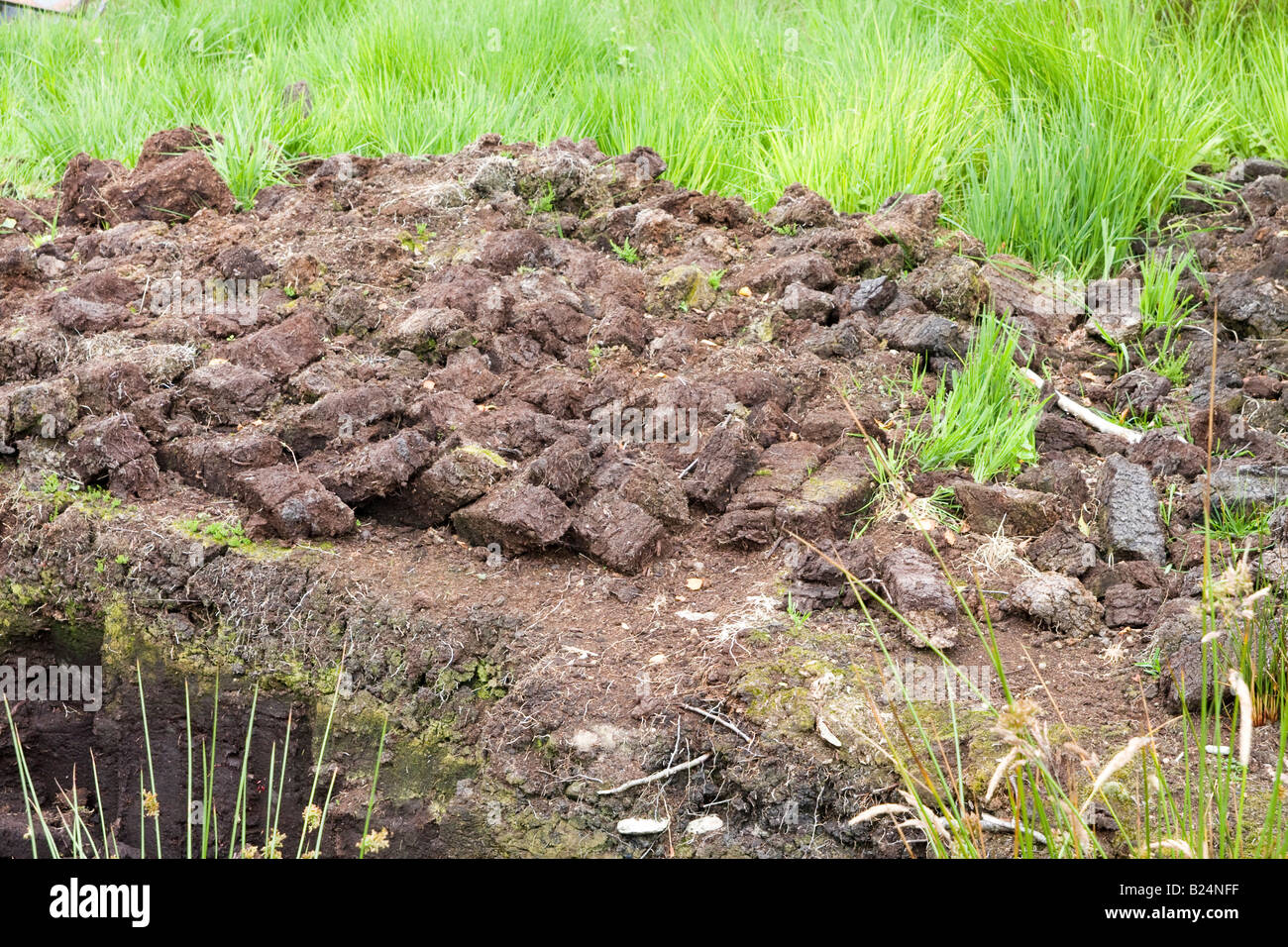 Cut peat hi-res stock photography and images - Alamy
