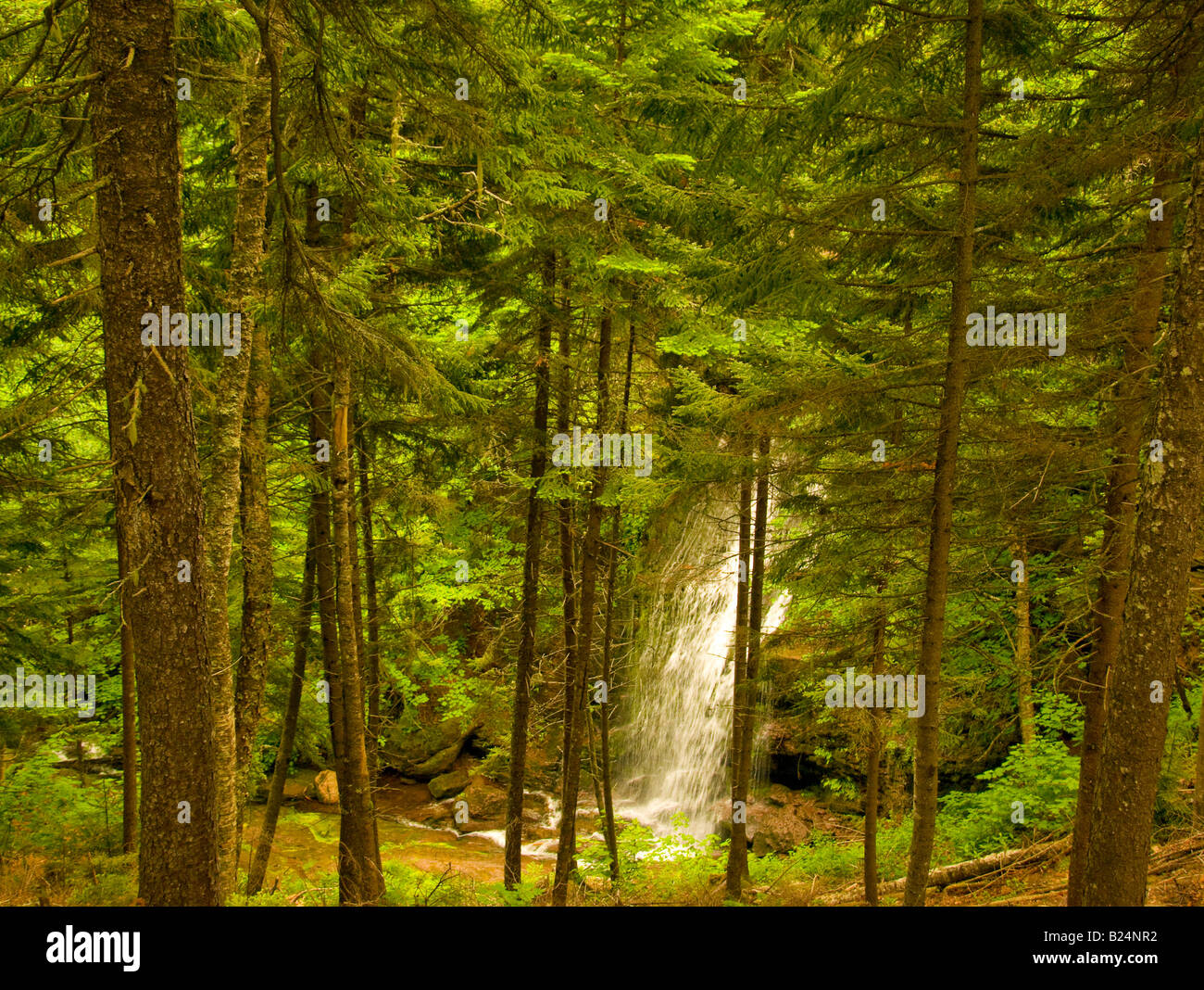 Fuller Falls High Resolution Stock Photography and Images - Alamy