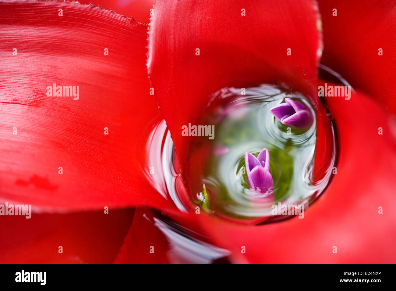 Pool of Light Stock Photo - Alamy