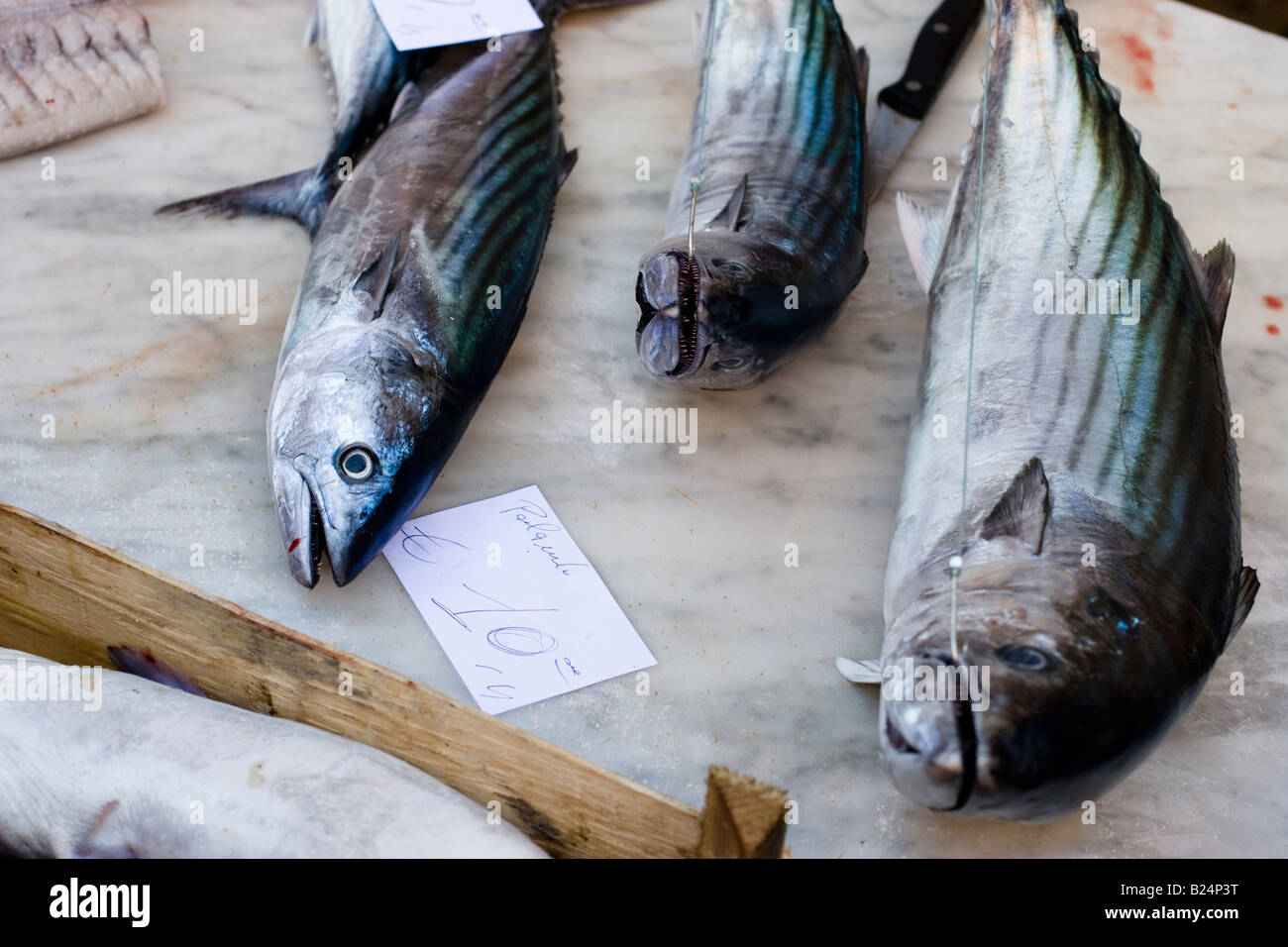 Seefische hi-res stock photography and images - Alamy