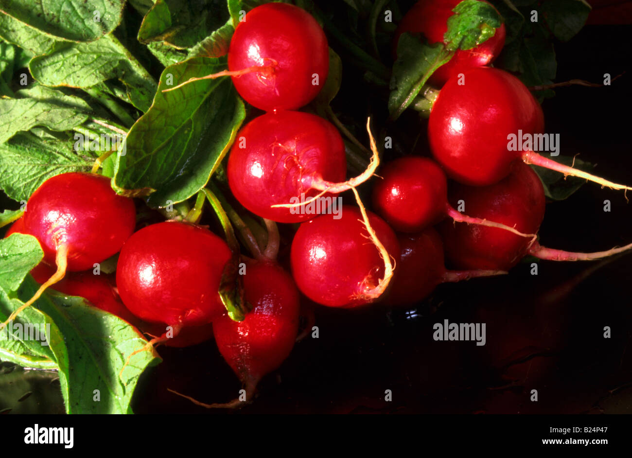 Eat pungent hi-res stock photography and images - Alamy