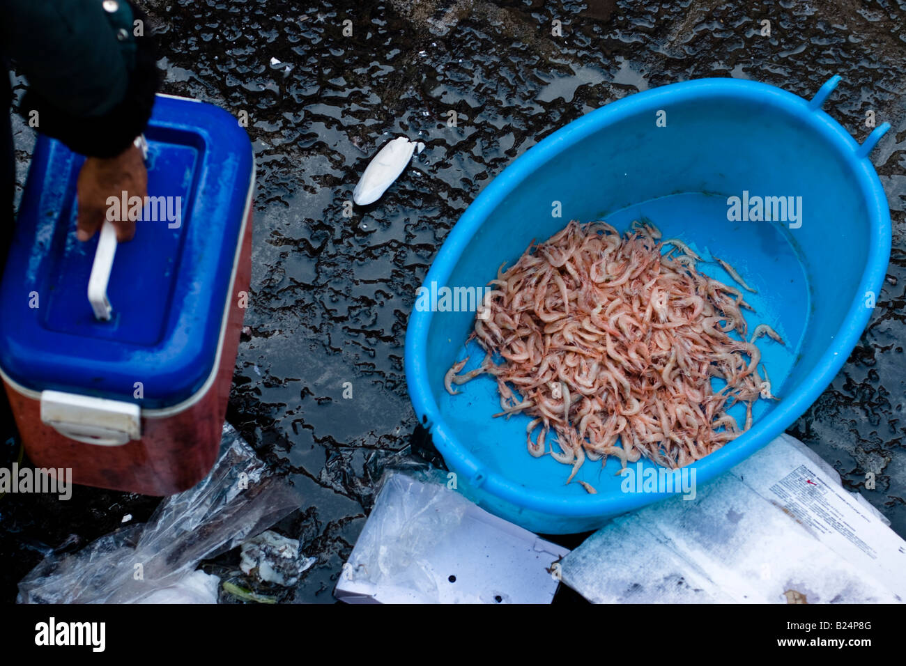 Bucket Of Shrimp High Resolution Stock Photography and Images - Alamy
