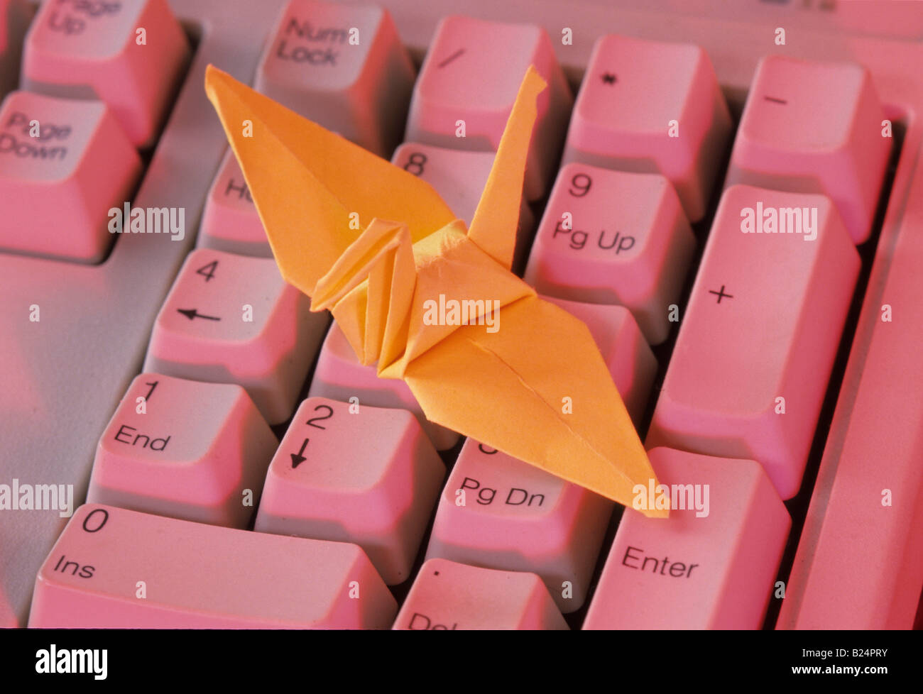 COMPUTER KEYBOARD AND PAPER BIRD ORIGAMI Stock Photo - Alamy
