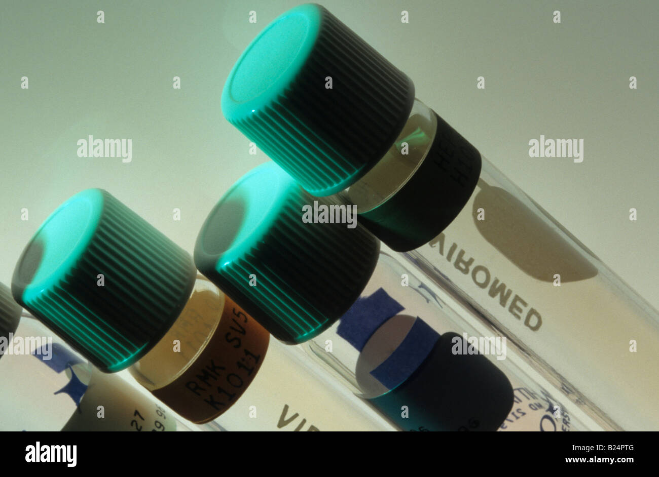 LABORATORY TEST TUBES Stock Photo - Alamy