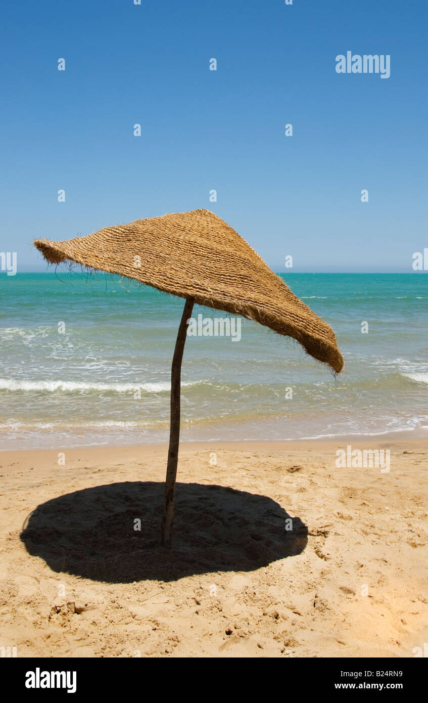 Single parasol on sandy beach Stock Photo - Alamy