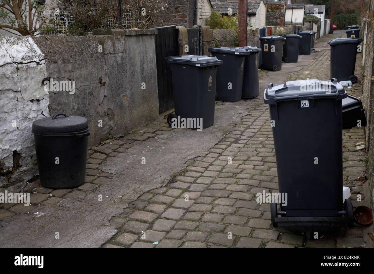 wheeled dustbins ready for collection in a cobbled back lane ginnel in ...