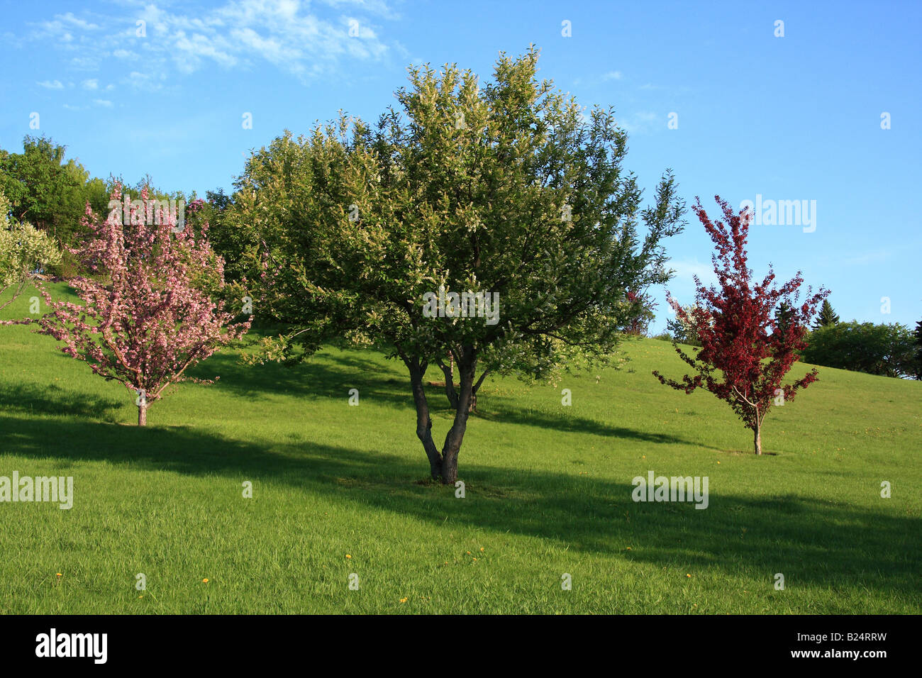 Calgary in spring hi-res stock photography and images - Alamy