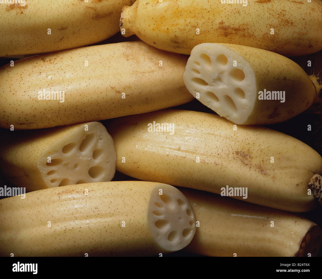 Lotus root cross section hi-res stock photography and images - Alamy