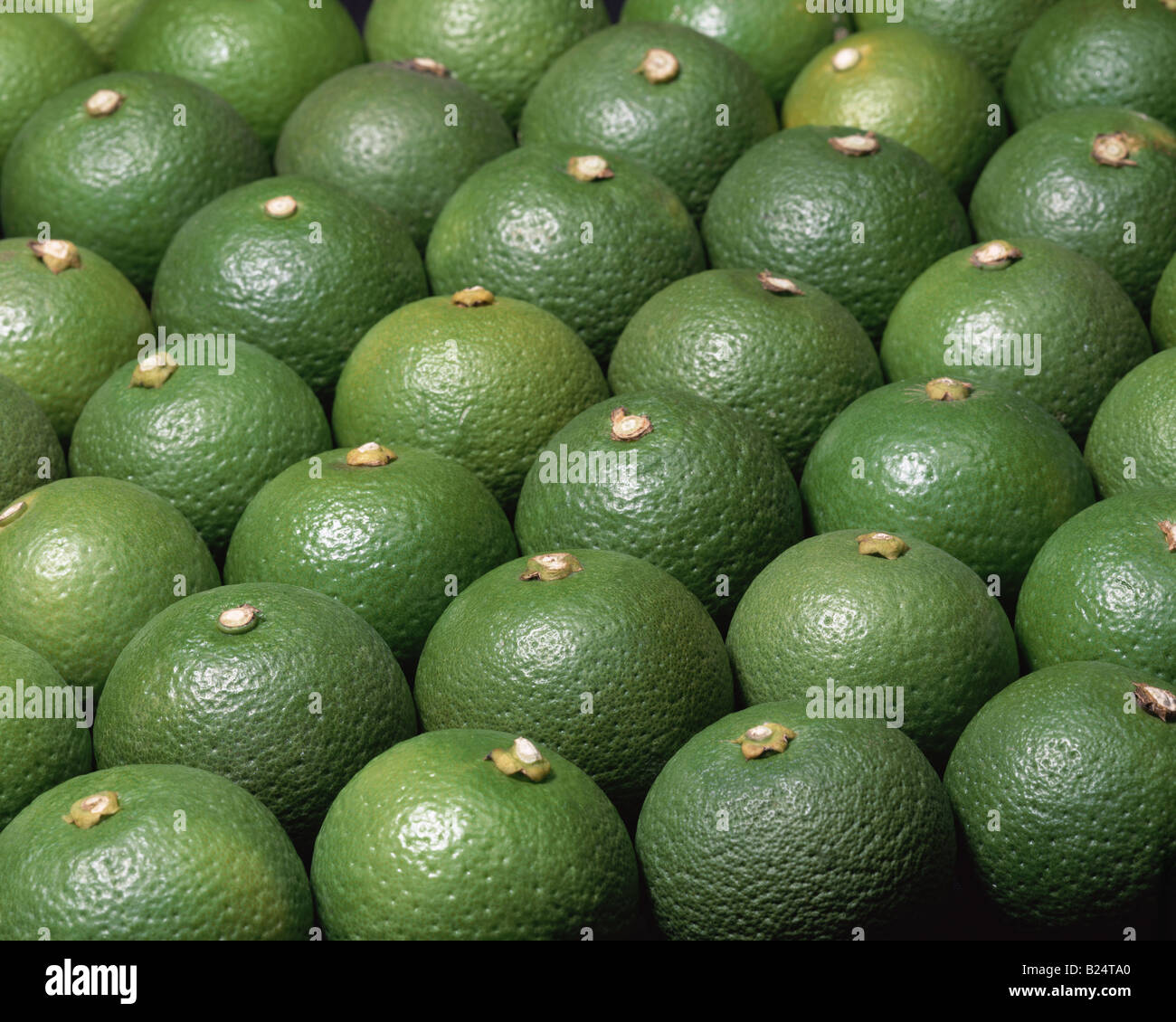 Citrus sudachi hi-res stock photography and images - Alamy