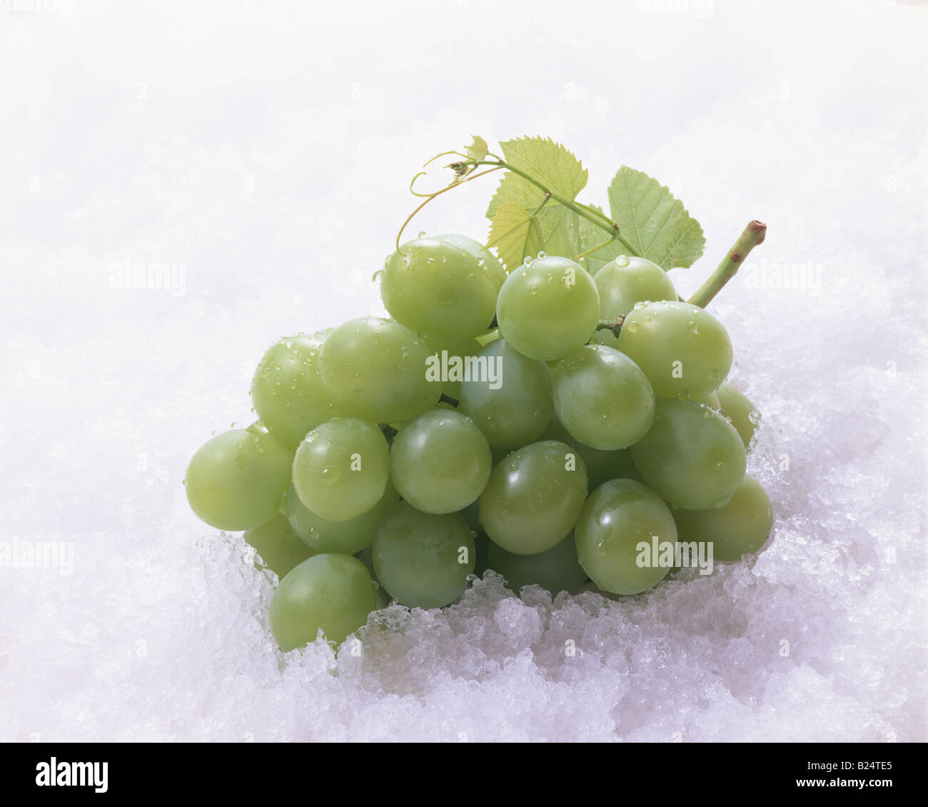 Bunch of Muscat Grapes on Ice Stock Photo - Alamy
