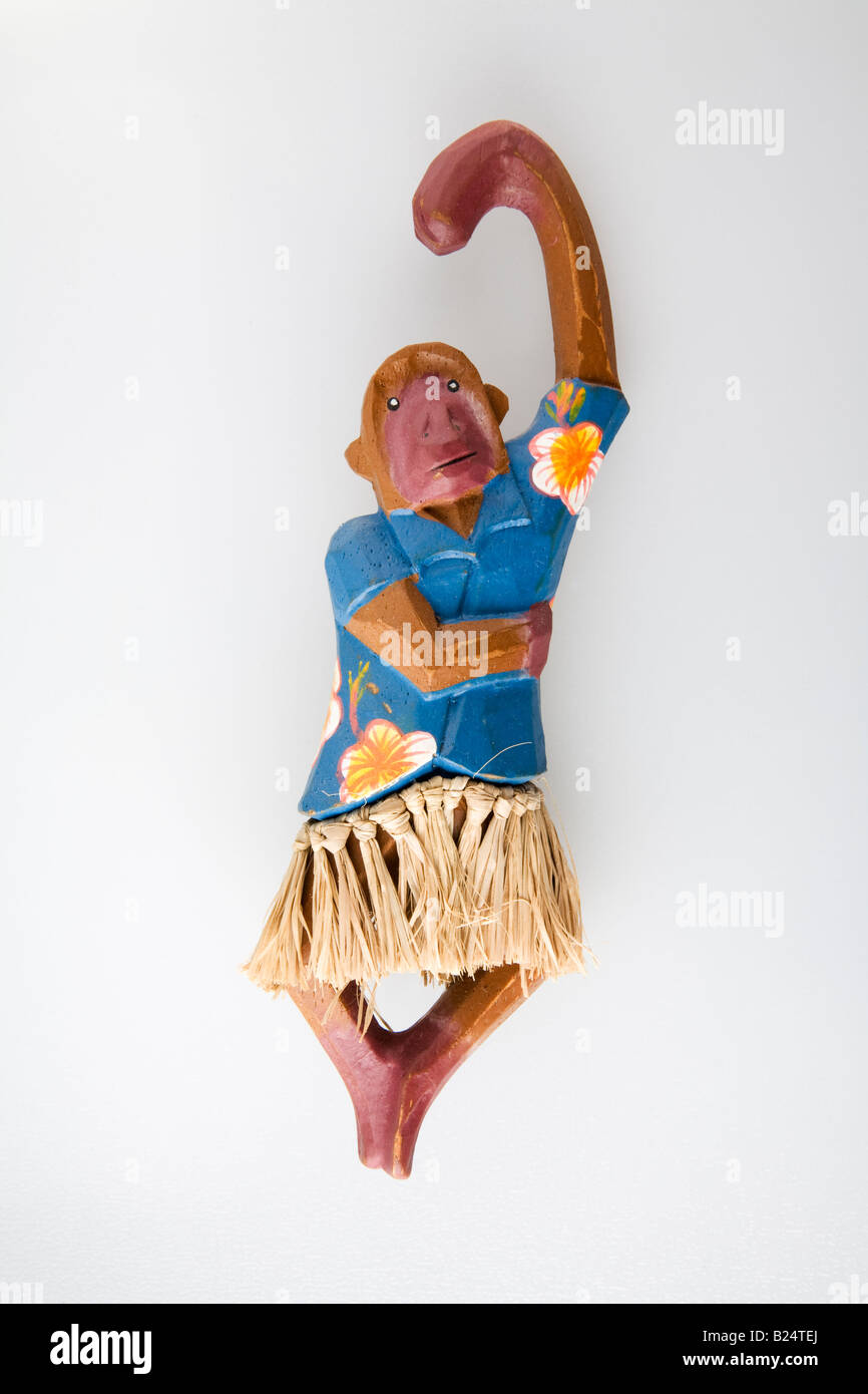 Monkey in a blue Hawaiian shirt Stock Photo - Alamy