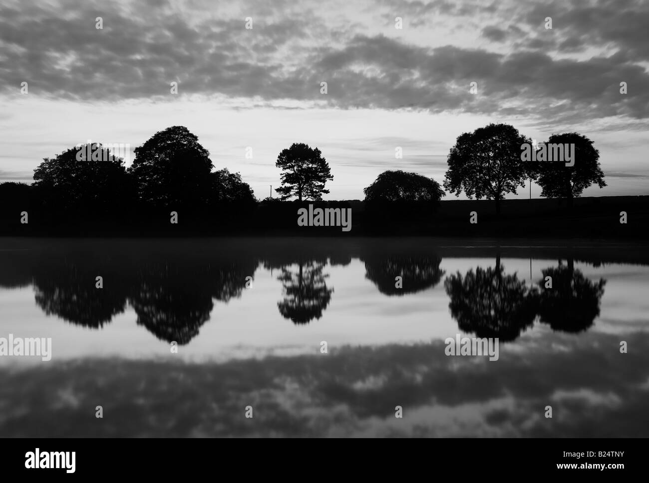 Trees, Sywell Country Park, Northamptonshire, England, UK Stock Photo ...
