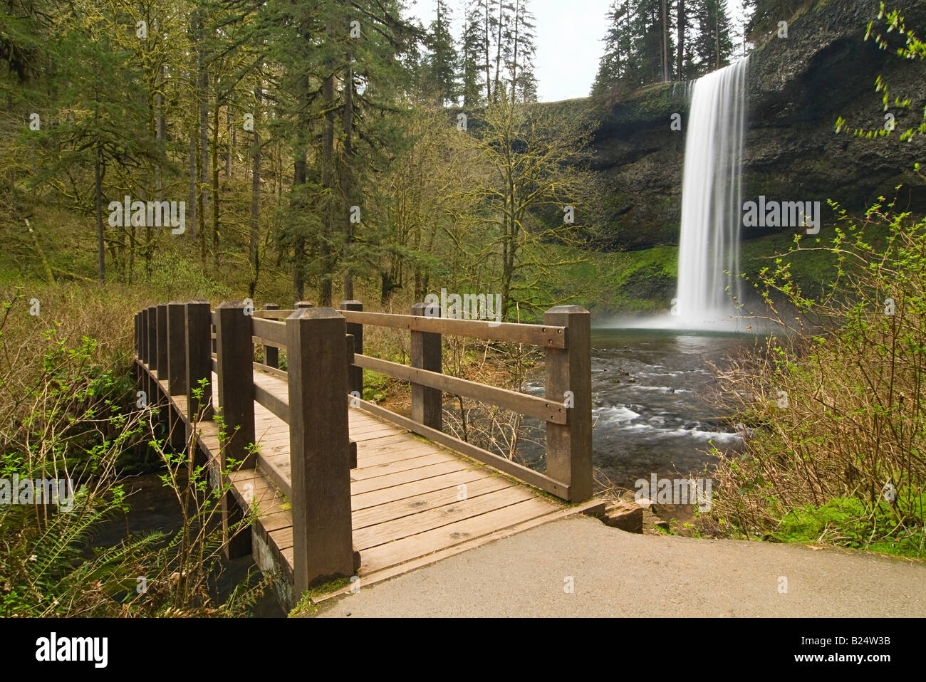 Lower South Falls in Silver Falls State Park in Oregon Stock Photo - Alamy
