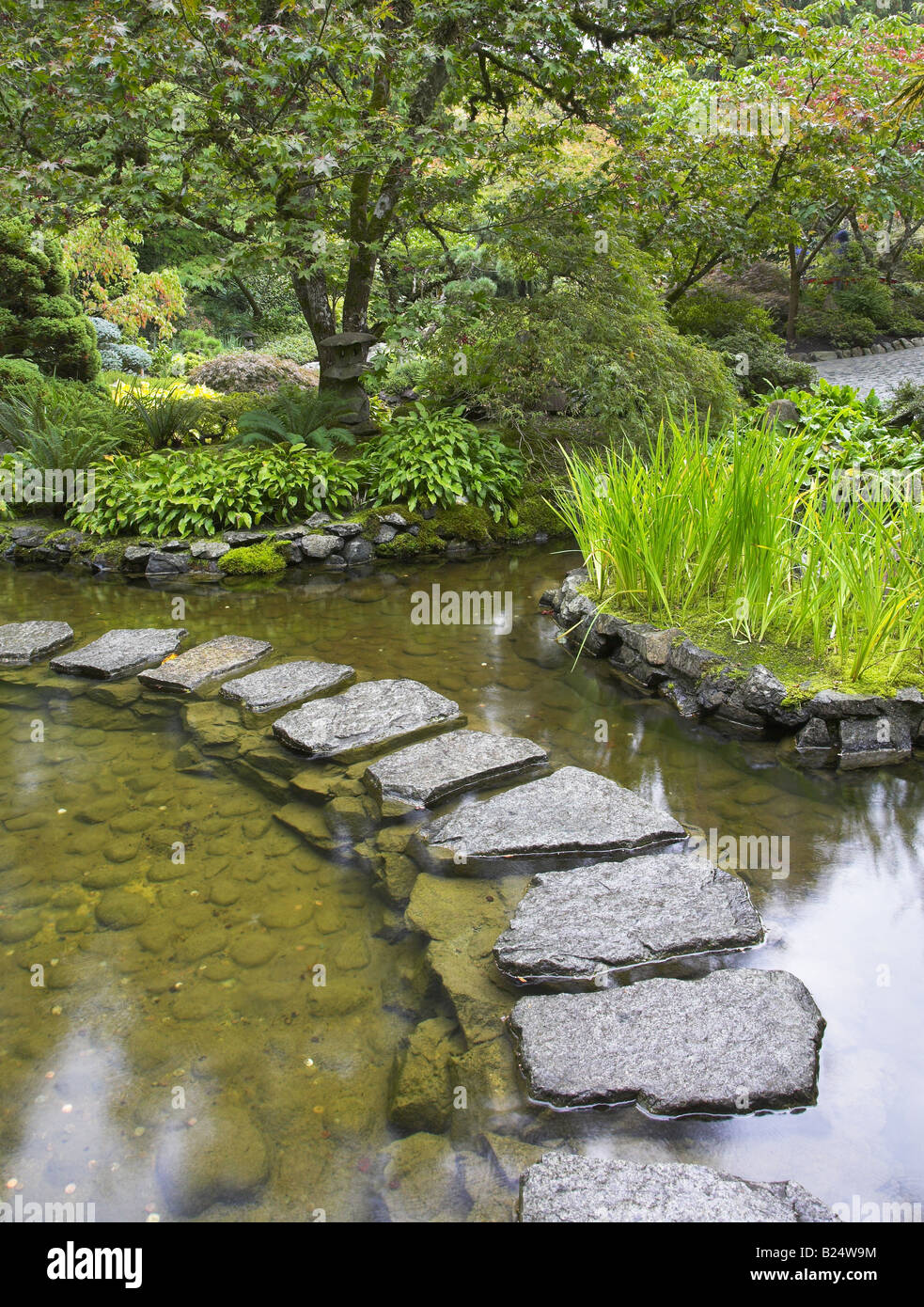 A path from the wet stones laid through a pond in Japanese to a garden ...