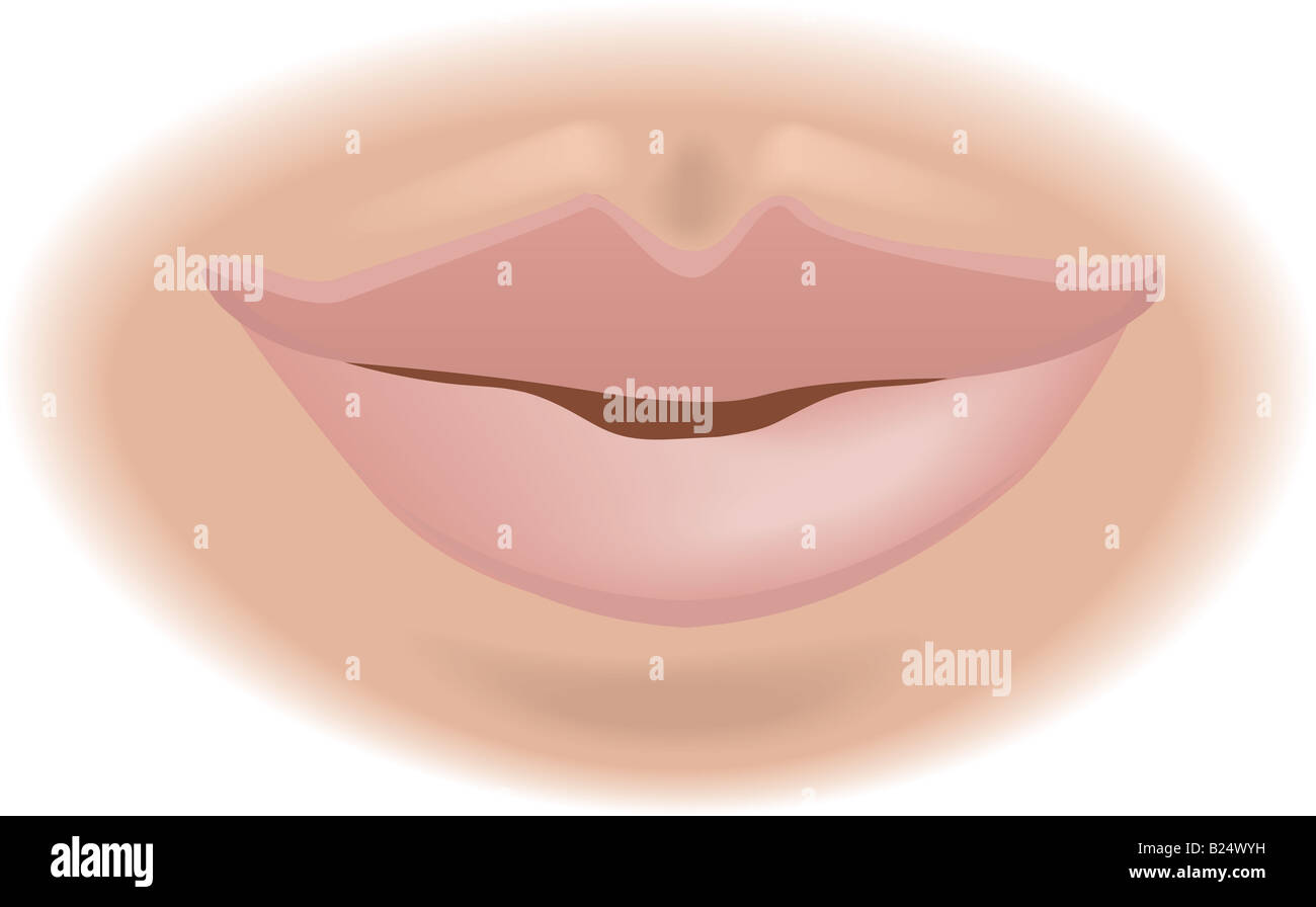 Body parts mouth. An illustration of a human mouth Stock Photo - Alamy