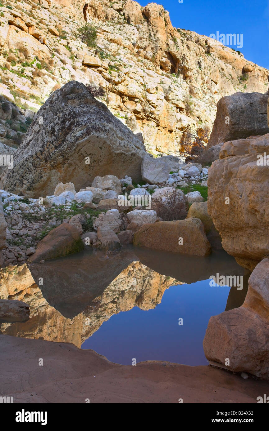 A small pool in canyon reflecting mountains Stock Photo - Alamy